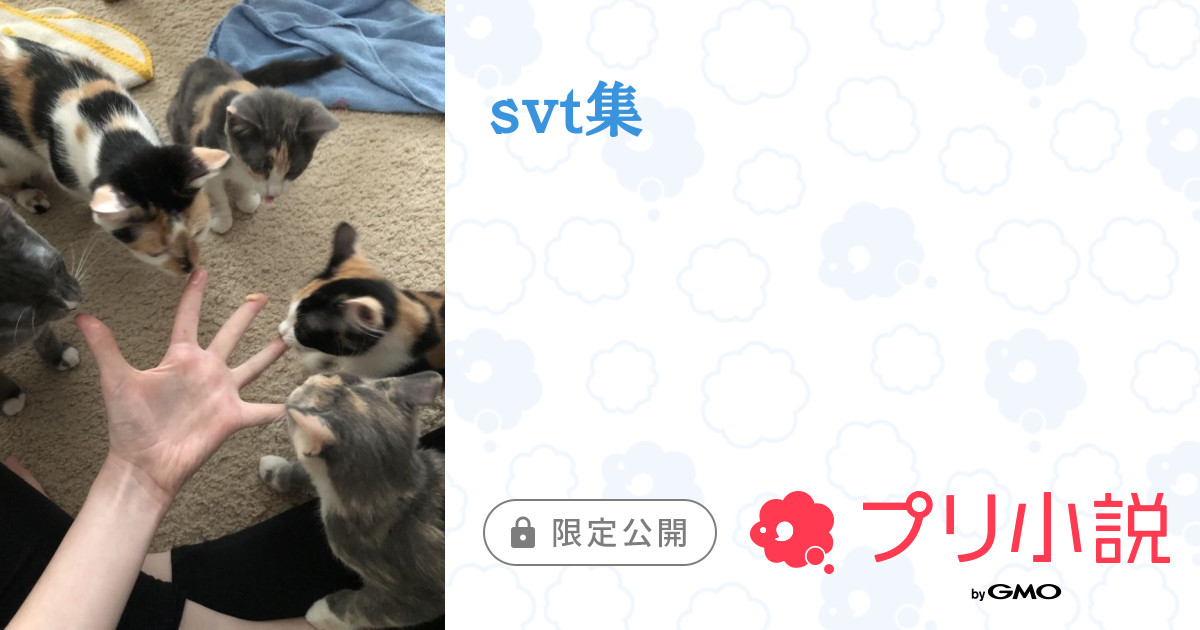 svt集 - 【連載中】（ちょよんさんの小説） | 無料スマホ夢小説ならプリ小説 byGMO